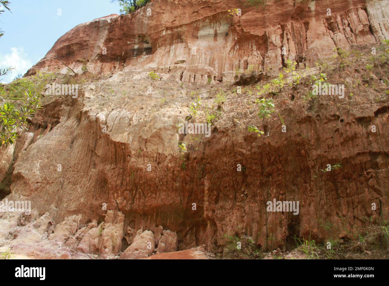 Providence Canyon in Georgia, USA. View of an eroded canyon wall from ...