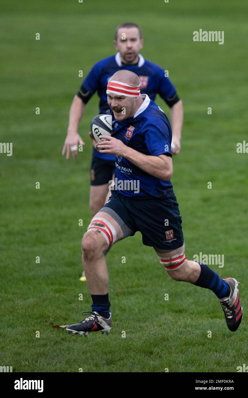 Rugby match, rugby game, rugby player, rugby scrum, rugby tackle, rugby ...