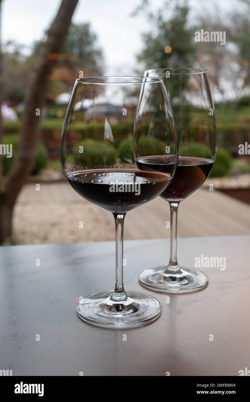 Tasting of red reserva rioja wines, visit of winery cellar in Haro ...