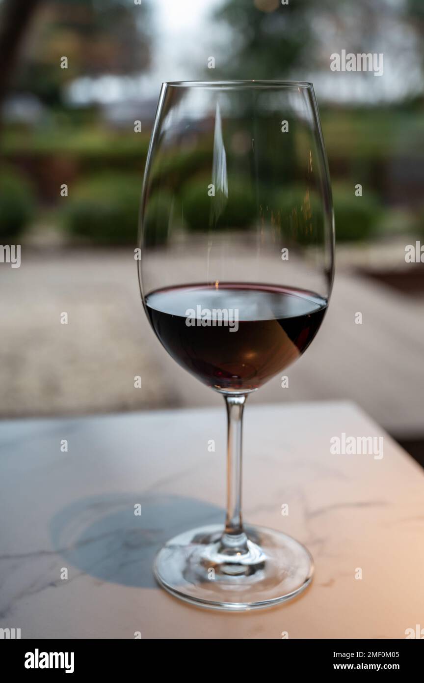 Tasting of red reserva rioja wines, visit of winery cellar in Haro ...