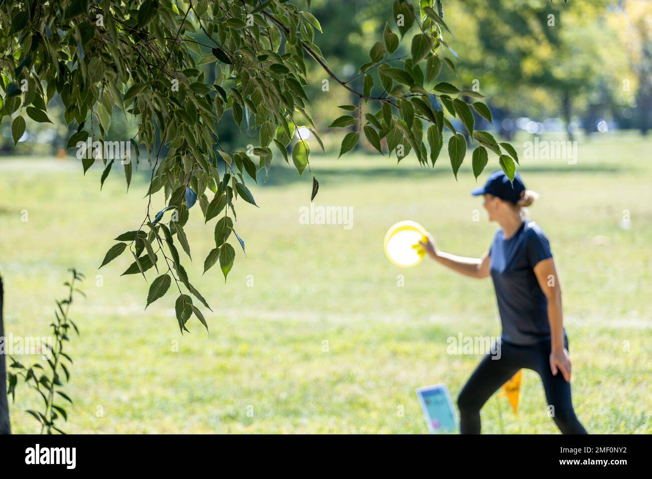 Woman playing flying disc golf sport game in the nature Stock Photo - Alamy