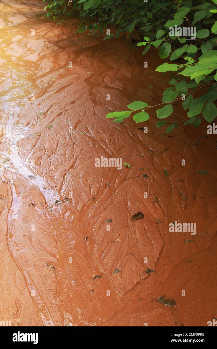 Muddy streams on the floor of Providence Canyon in Georgia, USA Stock ...