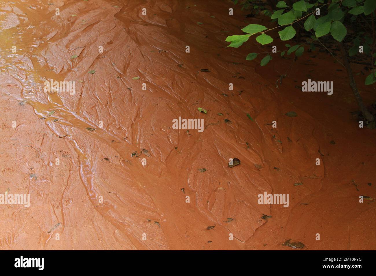 Muddy streams on the floor of Providence Canyon in Georgia, USA Stock ...