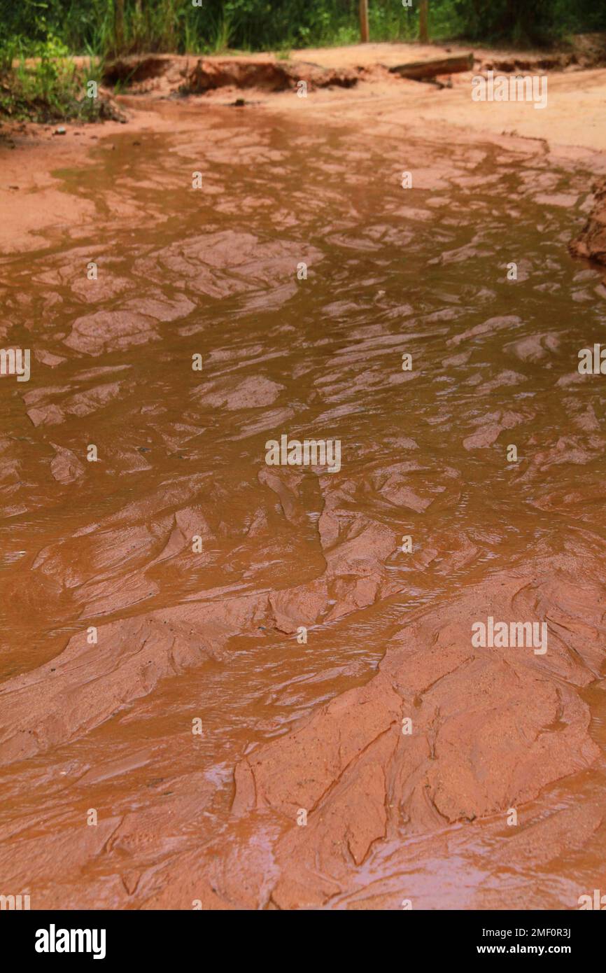 Muddy streams on the floor of Providence Canyon in Georgia, USA Stock ...