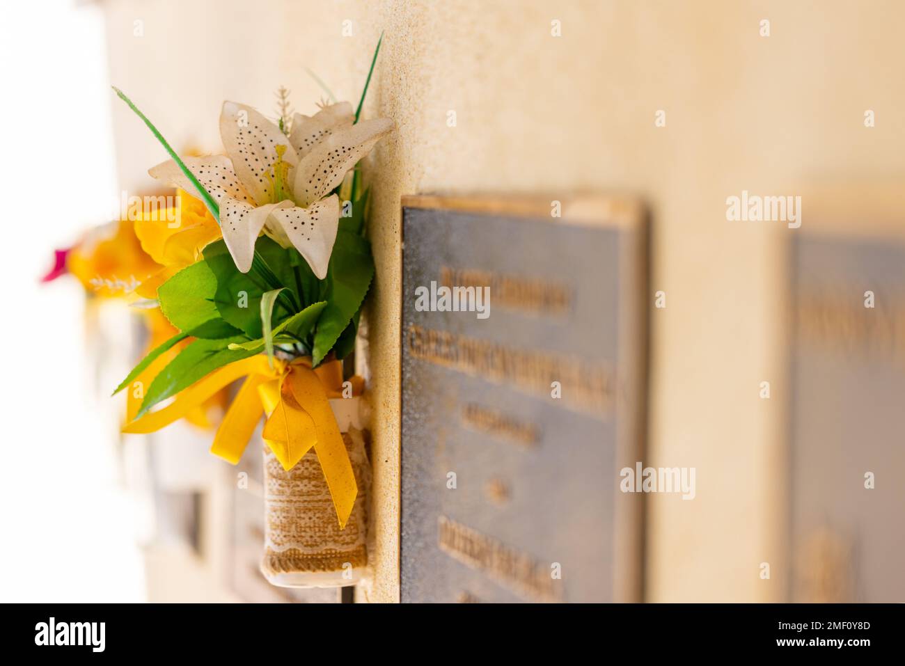 Lilly flowers tied with ribbon on memorial wall near plaque of deceased ...