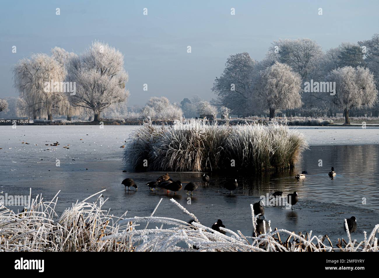 Beautiful wintery scene hi-res stock photography and images - Alamy