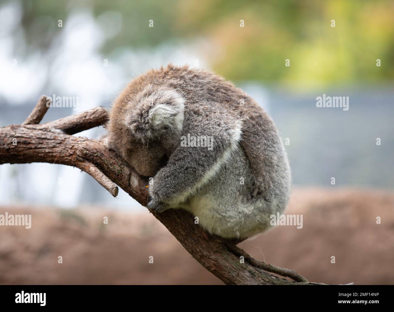 Yara valley hi-res stock photography and images - Alamy