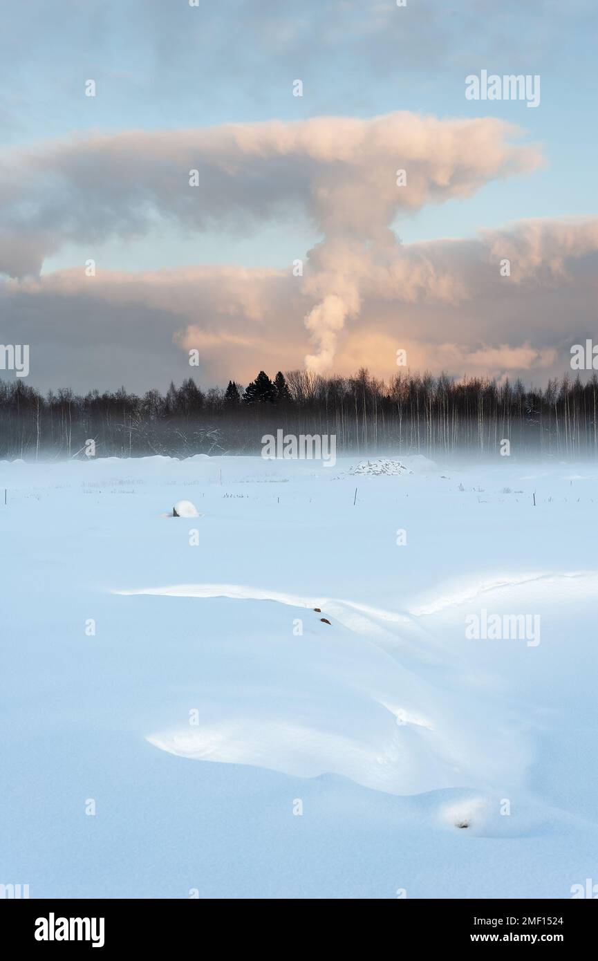 Temperature inversion. On a very cold winter day smoke rising from ...