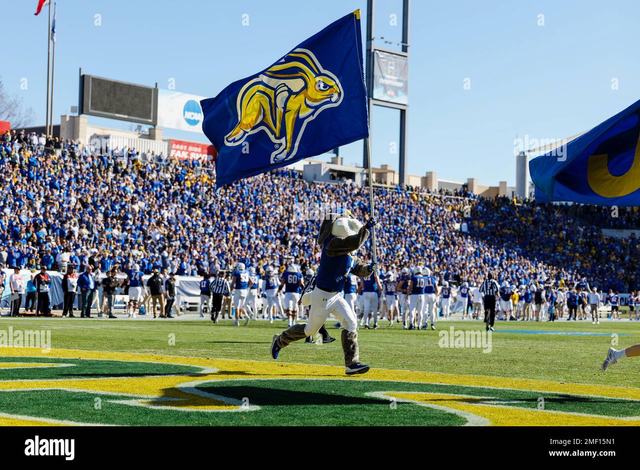 South Dakota State Jackrabbits mascot Jack runs the flag in celebration ...