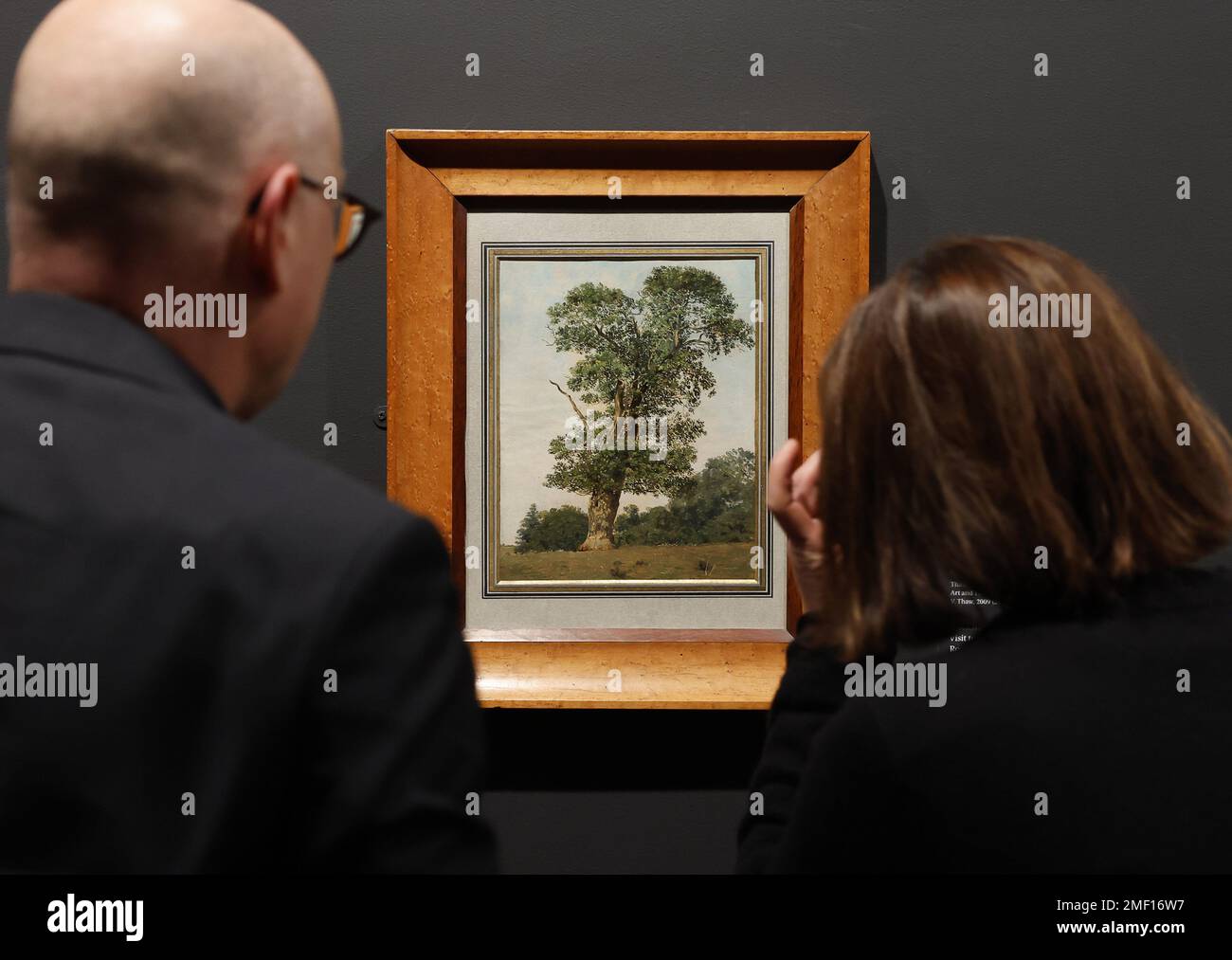 New York, United States. 23rd Jan, 2023. "A Large Oak" by Lorenz ...