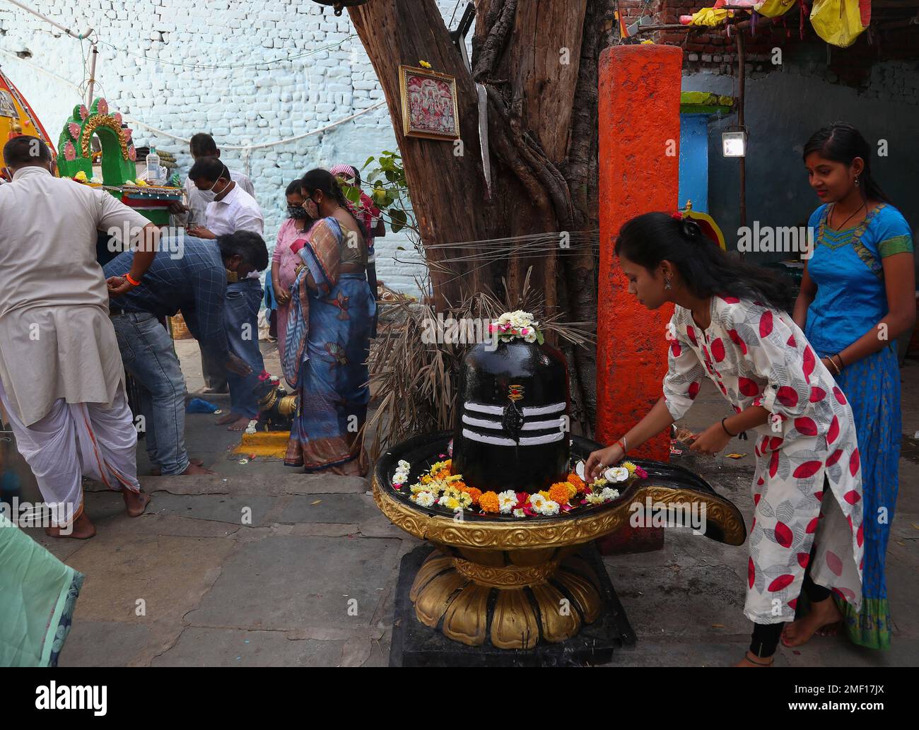 Hindu devotee offer prayers to a Shivling, a representation of the ...