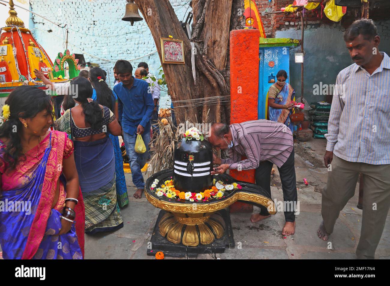 Hindu devotee offer prayers to a Shivling, a representation of the ...