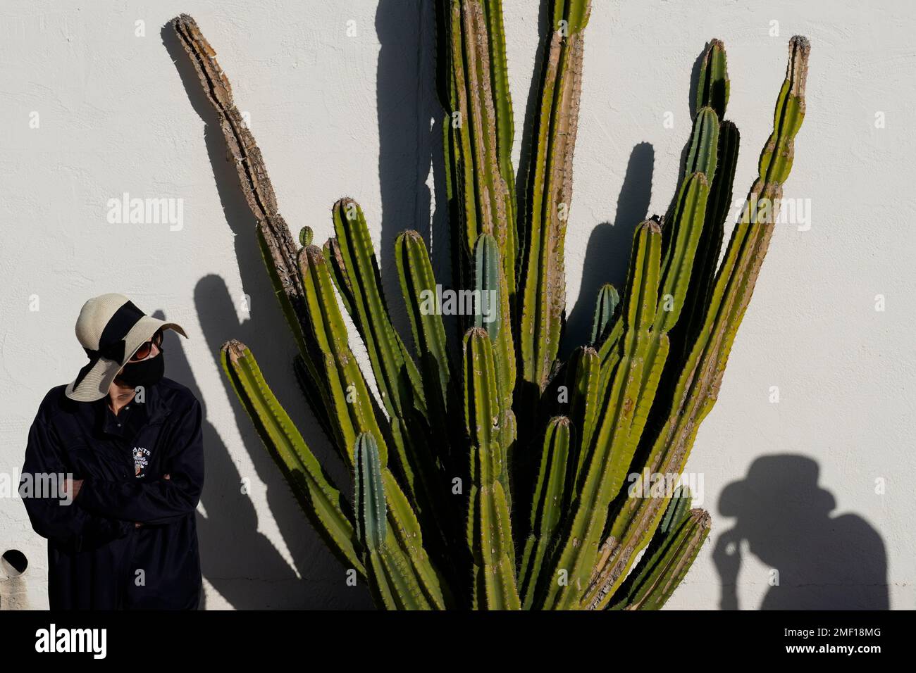 A woman waits for her companion near a cactus as they leave a spring ...
