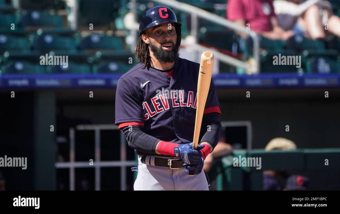 Cleveland Indians' Billy Hamilton bats during a spring training ...