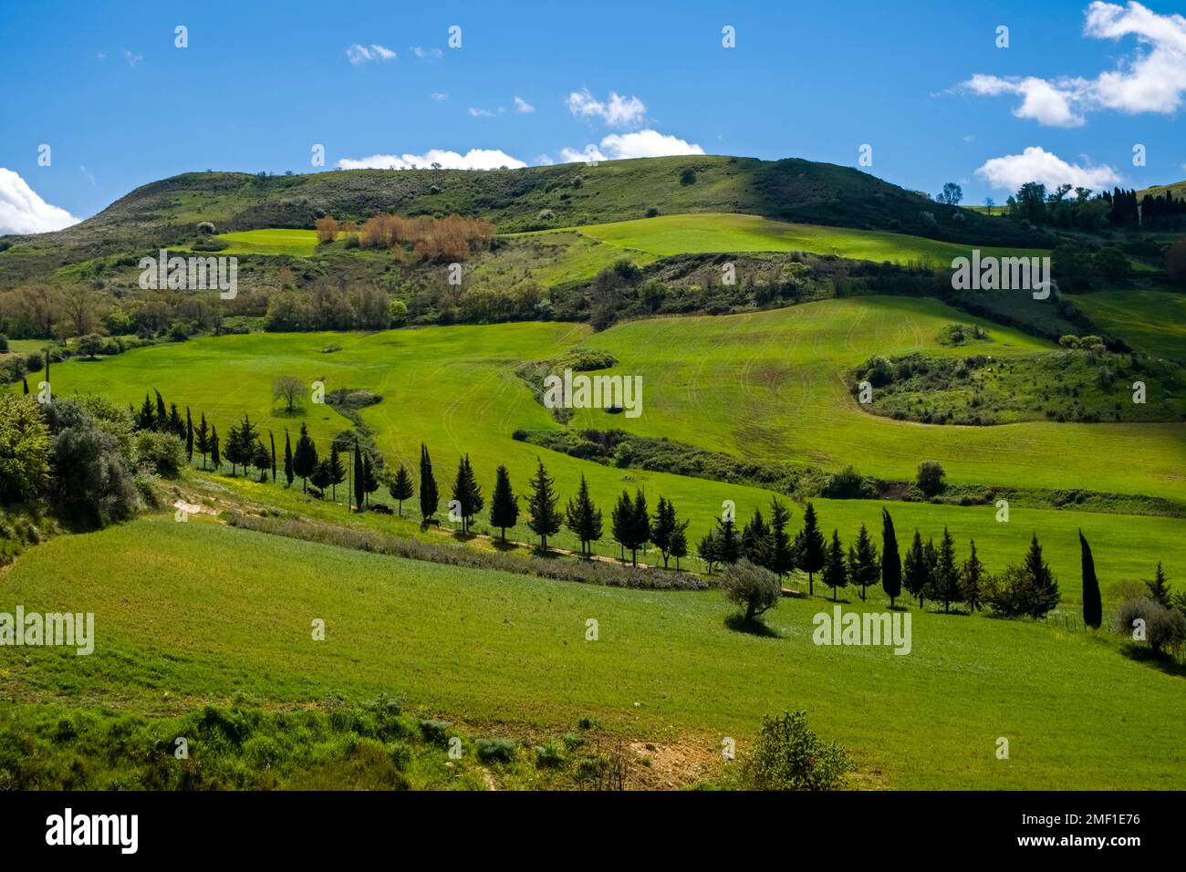 Agricultural landscape with green hills, trees and fields in Central ...