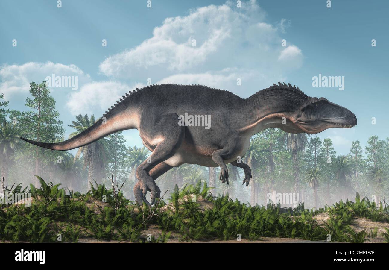 Acrocanthosaurus was a type of carcharodontosaurid dinosaur that lived ...