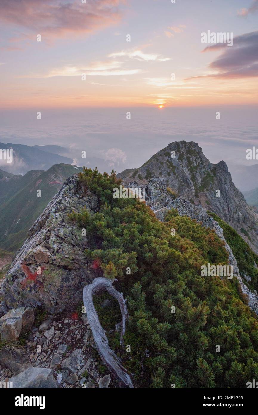 Sunrise over the Northern Japan Alps from the summit of Mount Goryu, or ...