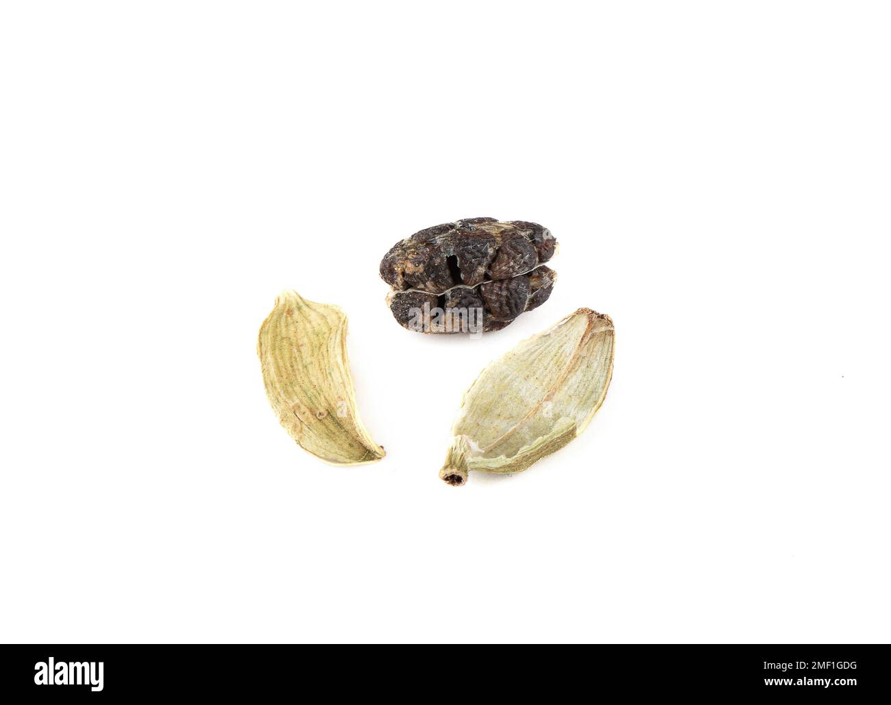 Carnation seeds hi-res stock photography and images - Alamy