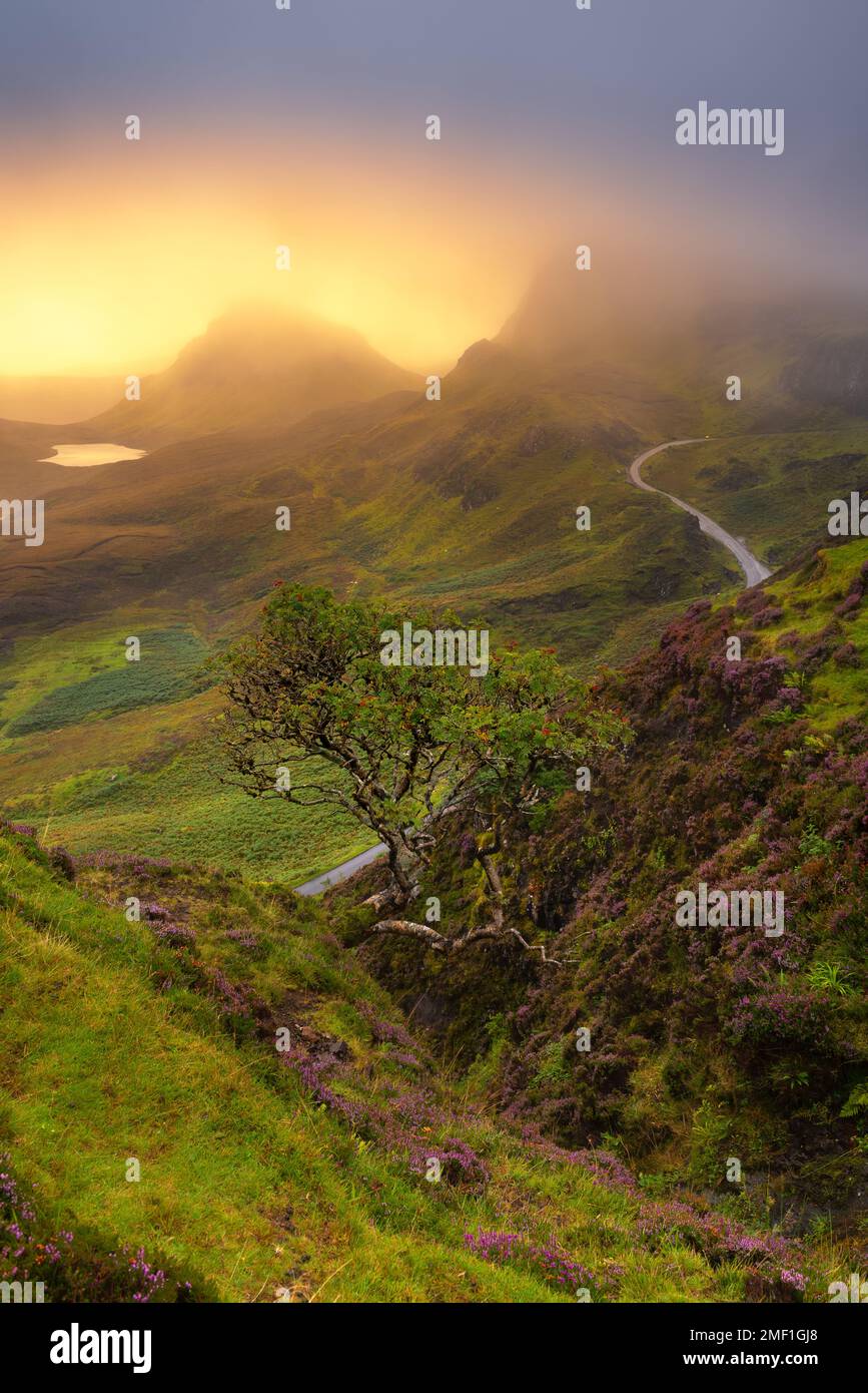 Dramatic view of magical Scotland landscape Quiraing with lingering ...