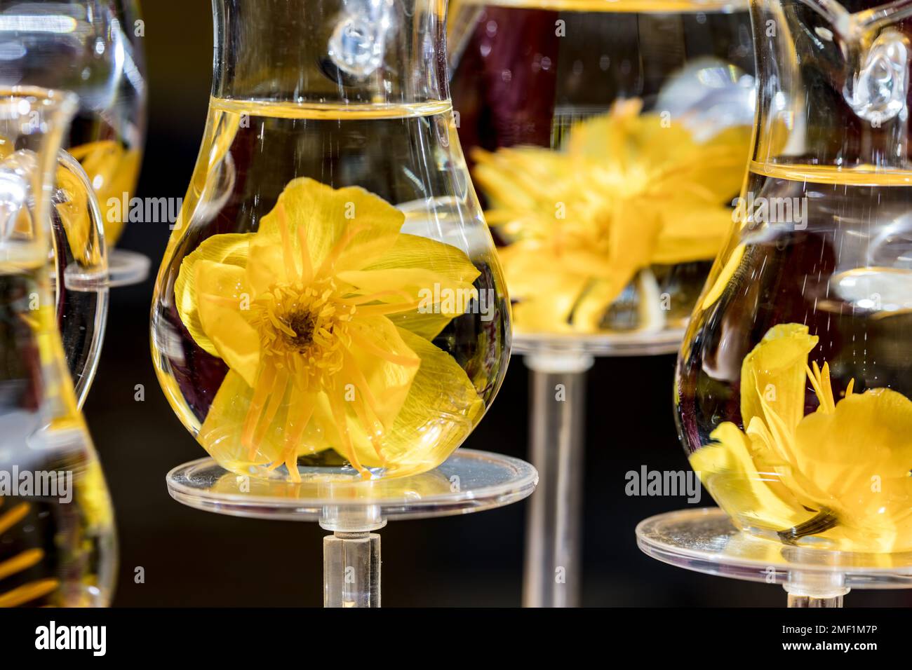 The glass jars full of water with yellow flowers on the table Stock ...