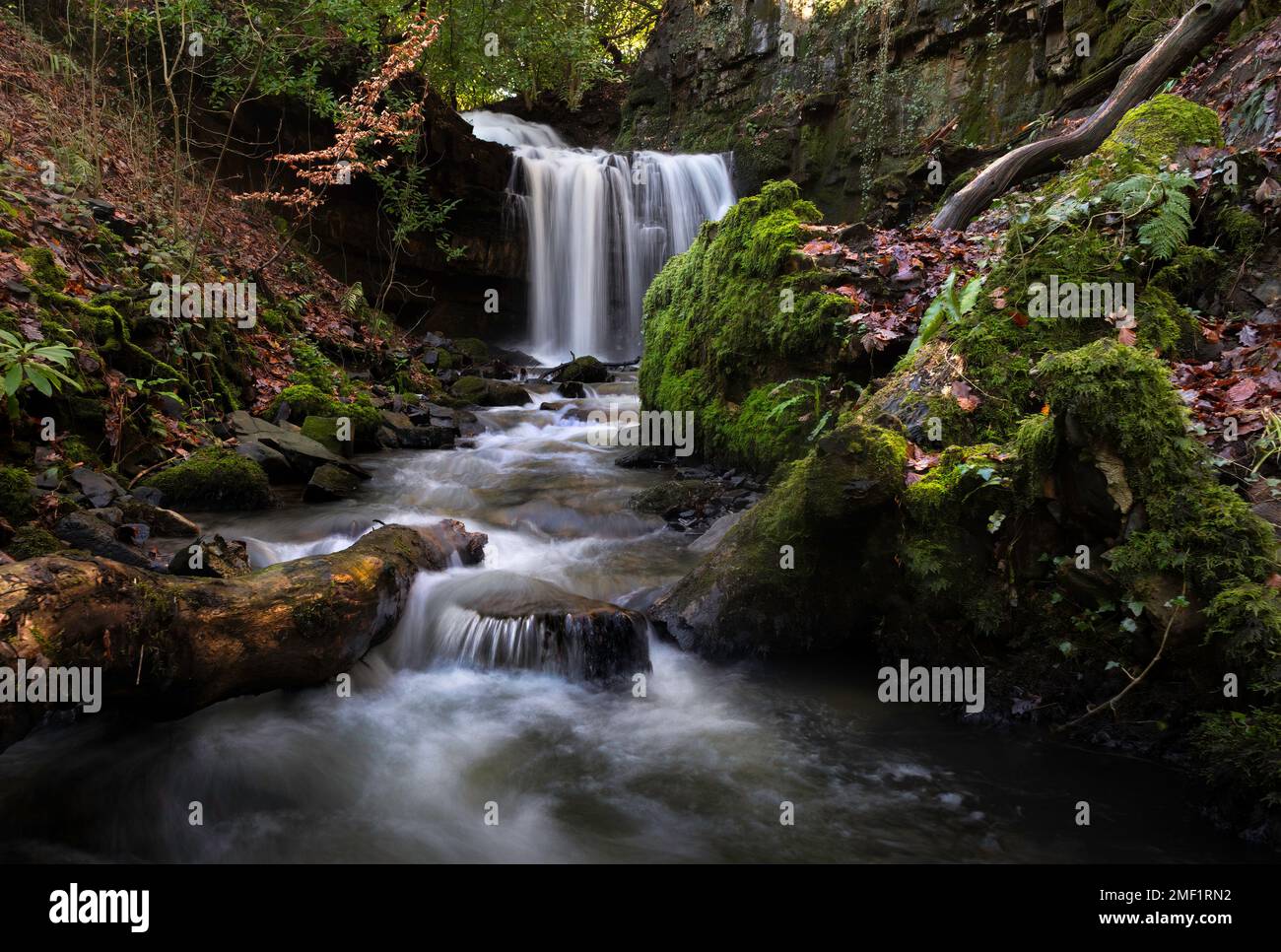 Abbey creek hi-res stock photography and images - Alamy
