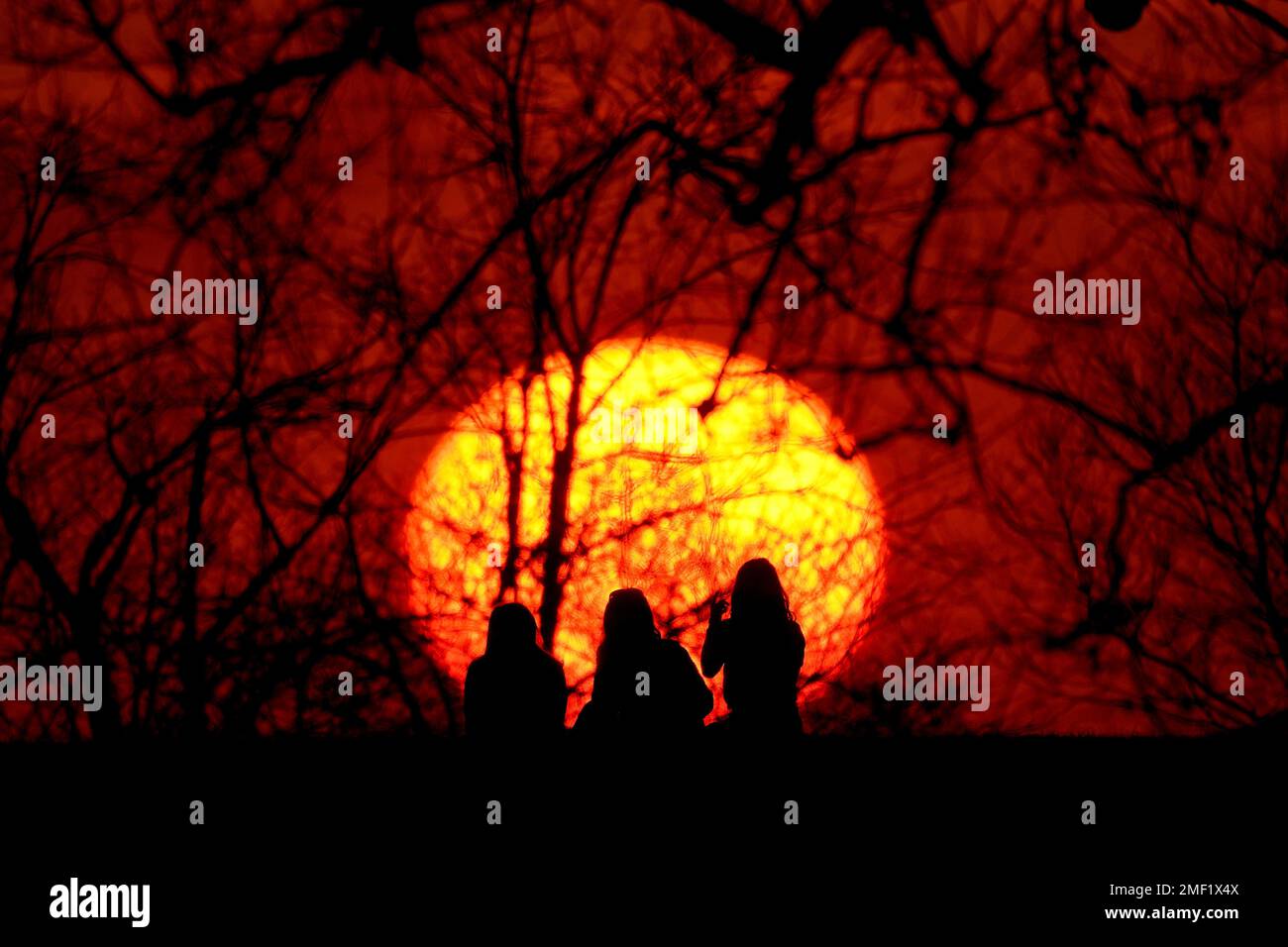 Girls are silhouetted against the setting sun as they enjoy a spring ...