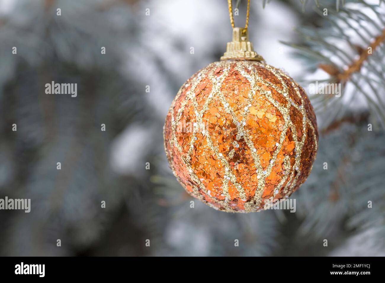 Christmas tree ball ornament hanging on branch of fir tree outdoor ...