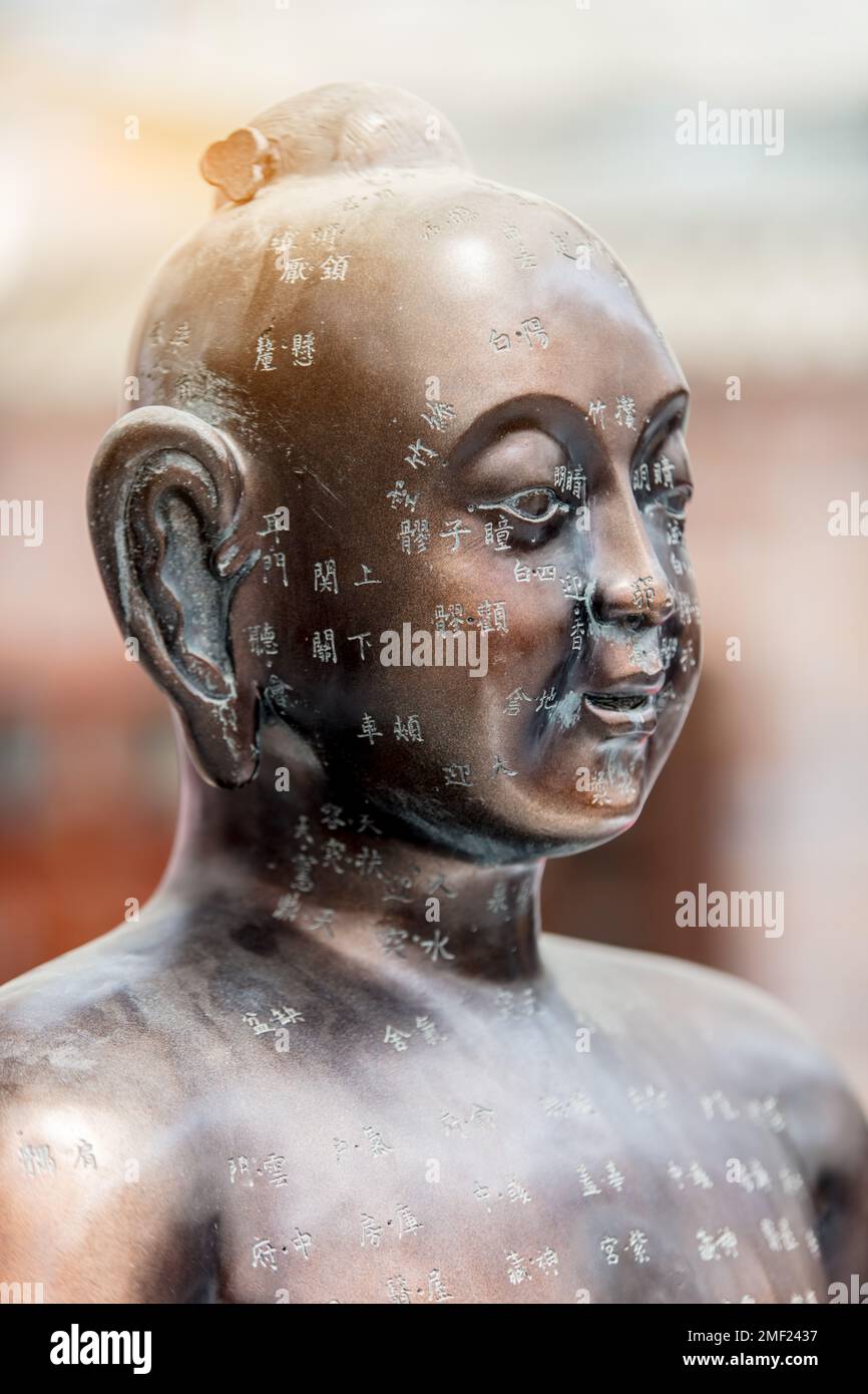 A vertical closeup of a bronze acupuncture buddhist sculpture with ...