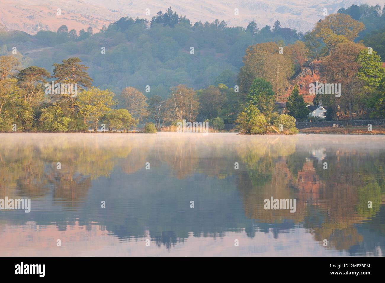 Reflections in water on a Spring morning at Rydal Water in the Lake ...