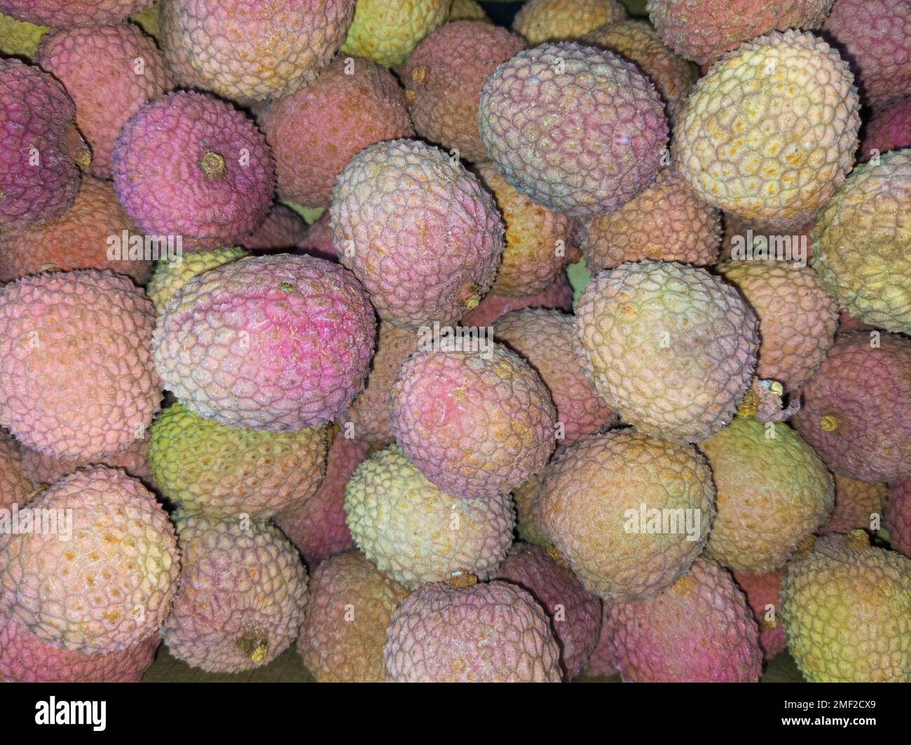 Fresh litchi chinensis, lychee - delicious fruit, chinese plum, top ...