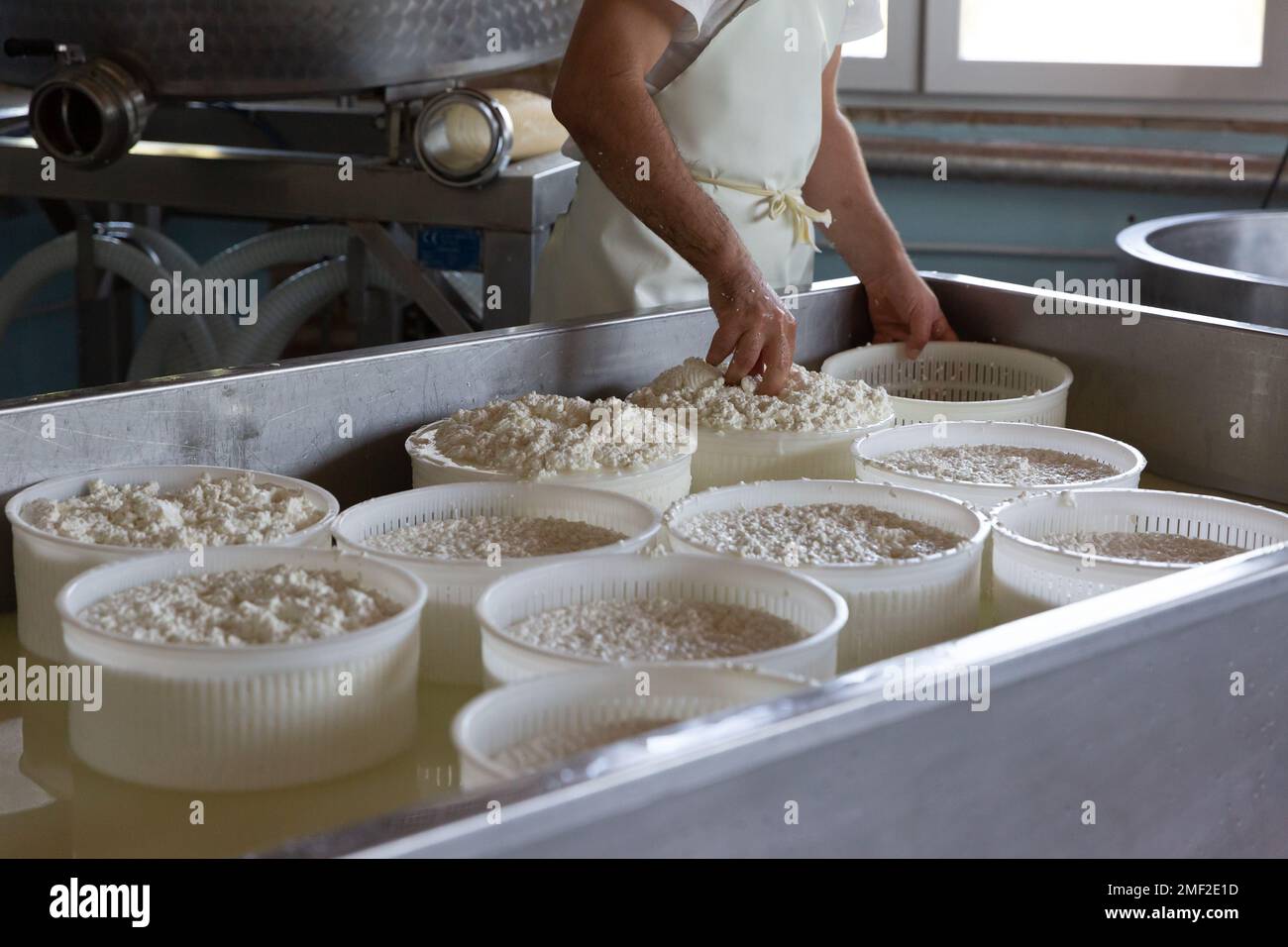 Man making cheese at Fior di Montalcino cheese farm in Tuscany, Italy ...