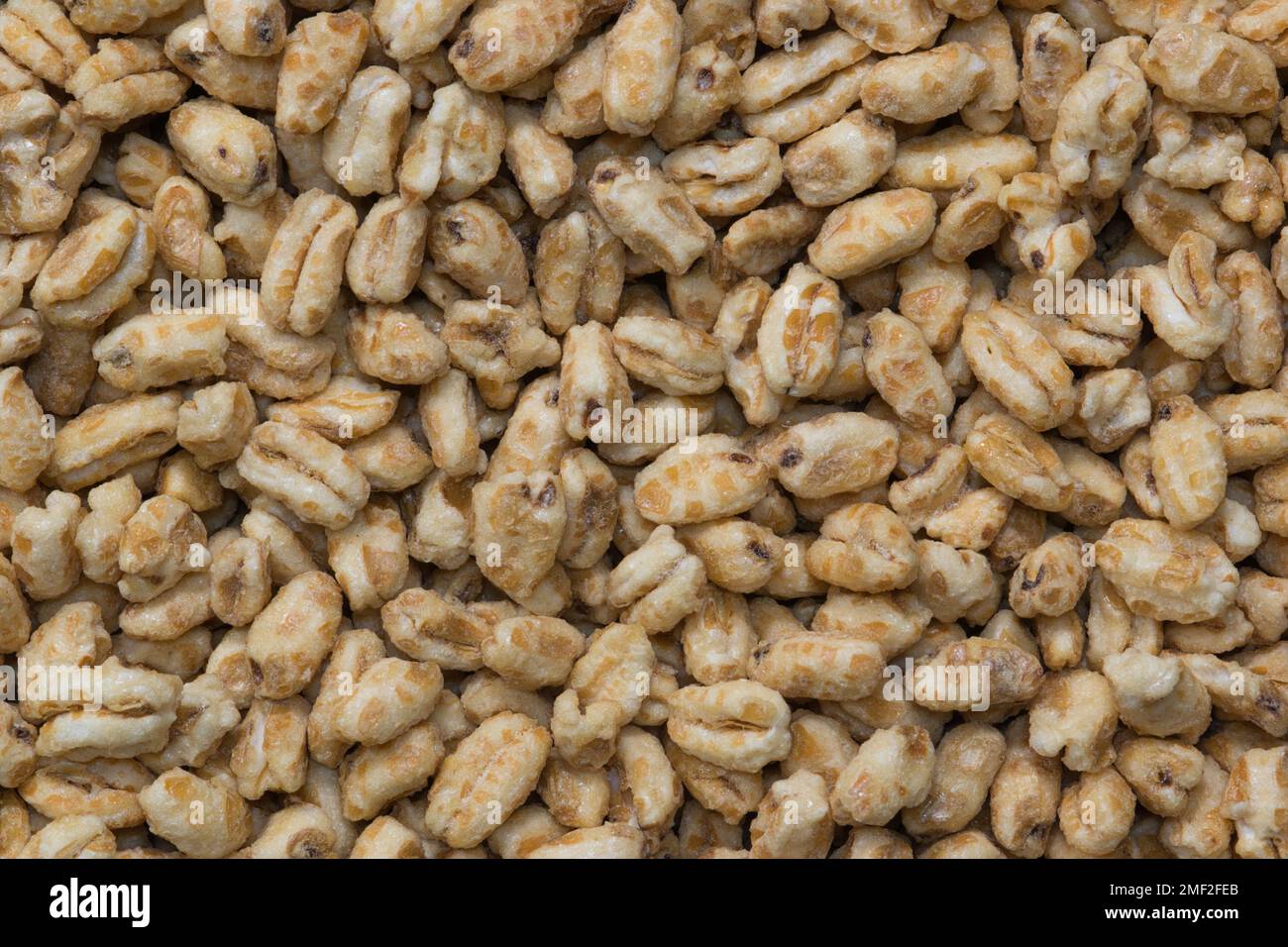 Dry honey puffed wheat cereal pieces scattered loosely directly above ...