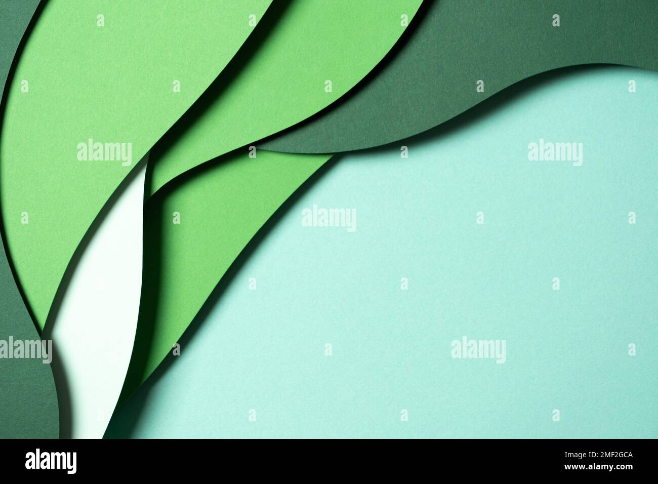 Abstract green color paper texture background. Minimal paper cut style ...