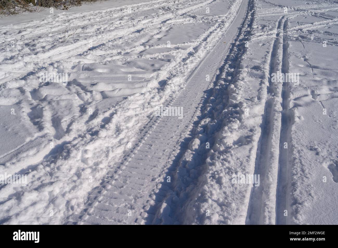 Tracks of a snowmobile next to cross country skiing and foot steps in ...