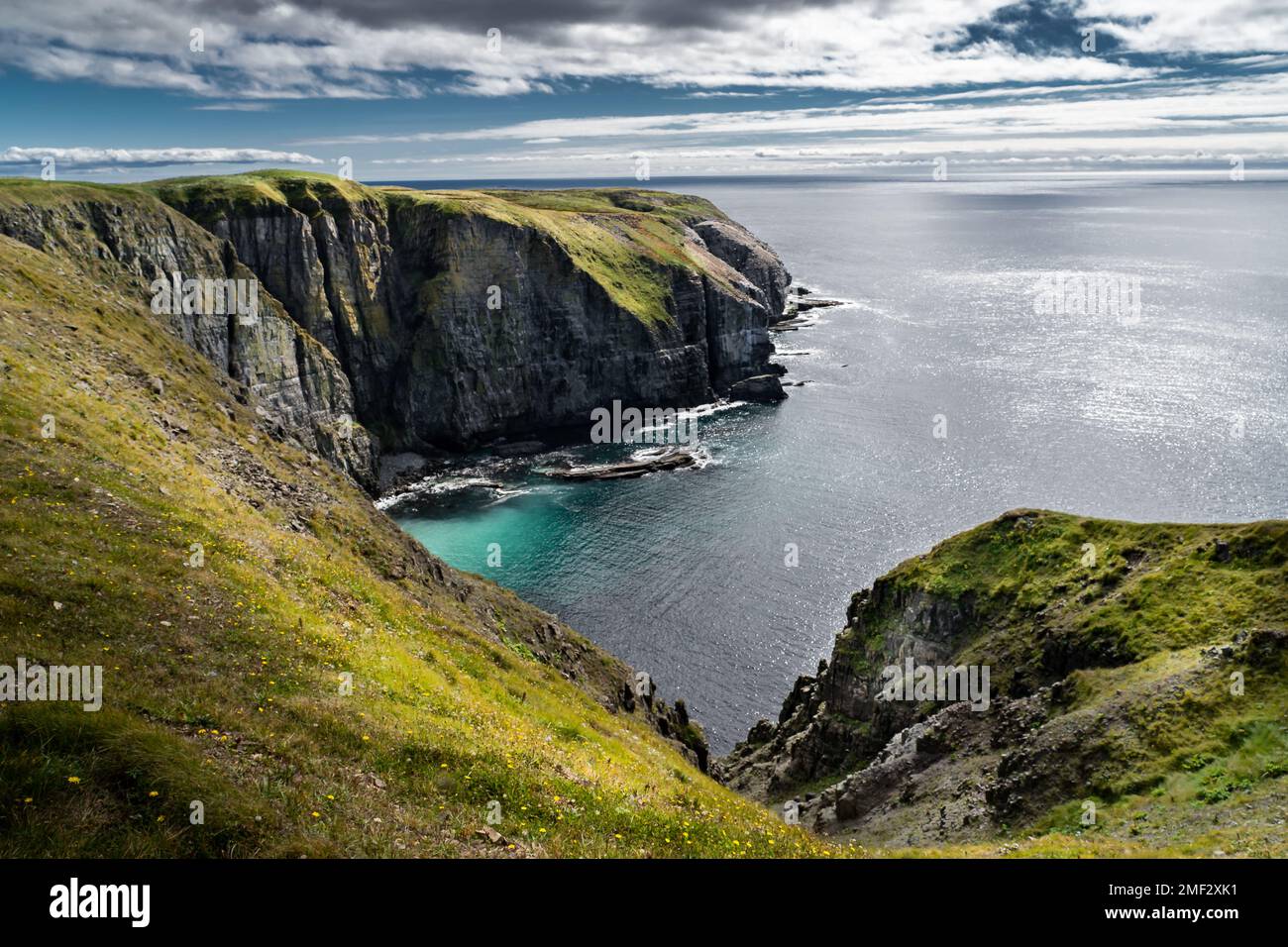 High rocky cliffs overlooking the Atlantic Ocean at Cape St. Mary's ...