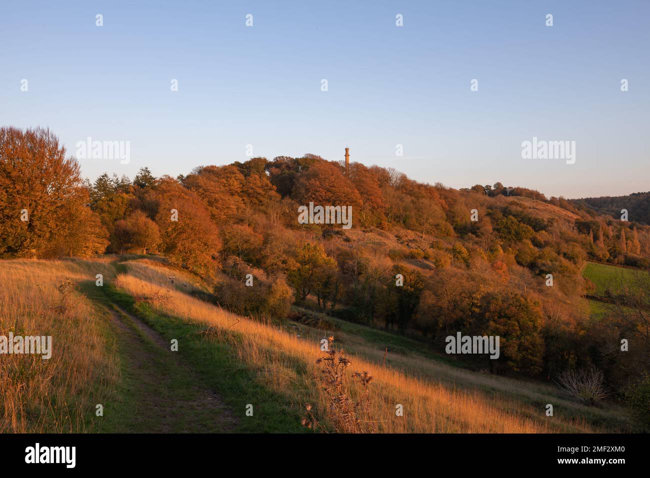 Landscape photo of the autumn colours at dusk at the Admiral Hood ...