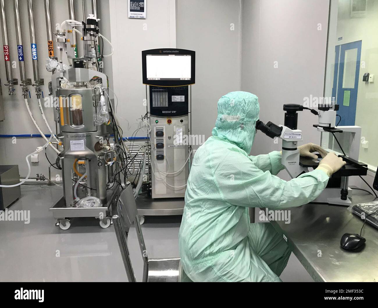 A member of production checks cell growth and viability of a bioreactor ...