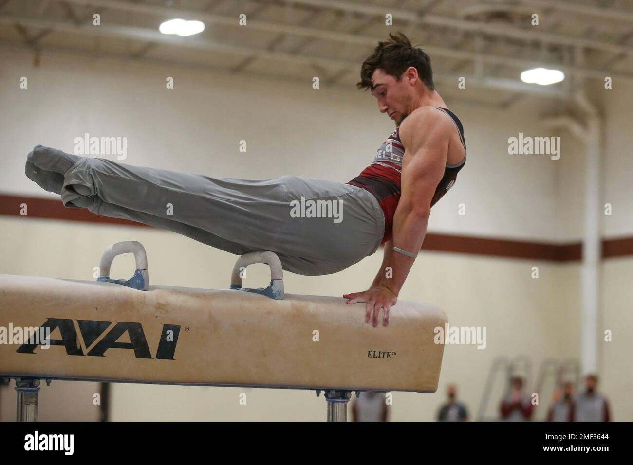 Springfield's Trevor Lamberton competes on the pommel horse during an ...