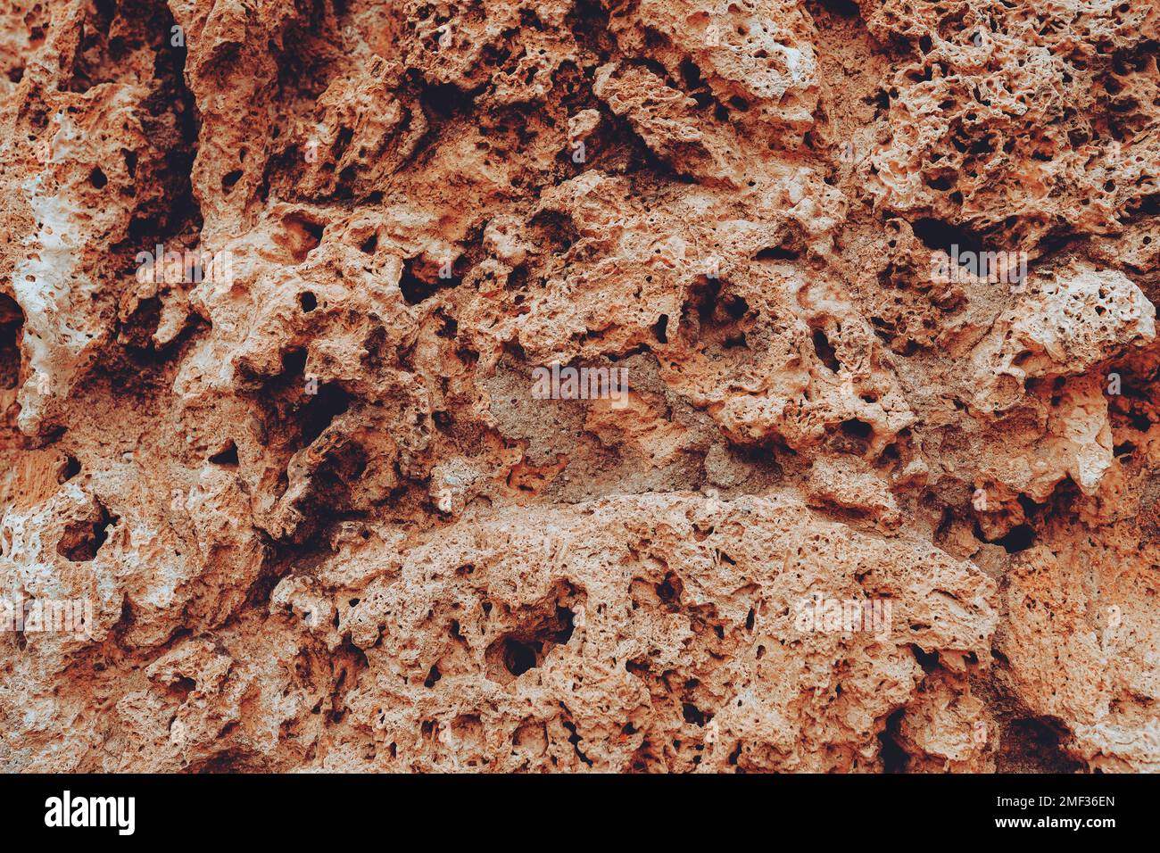 Close up background of limestone surface, stone texture Stock Photo - Alamy