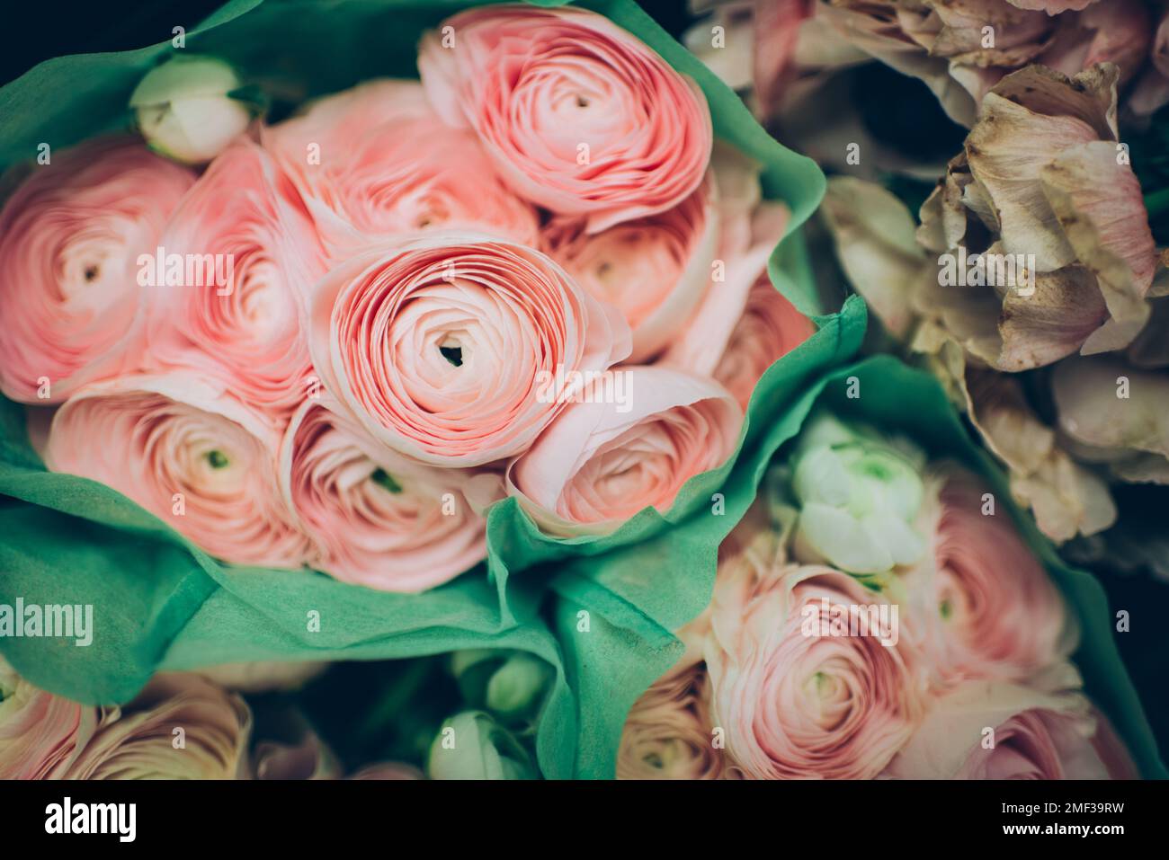 Colorful spring flowers - red roses Stock Photo - Alamy