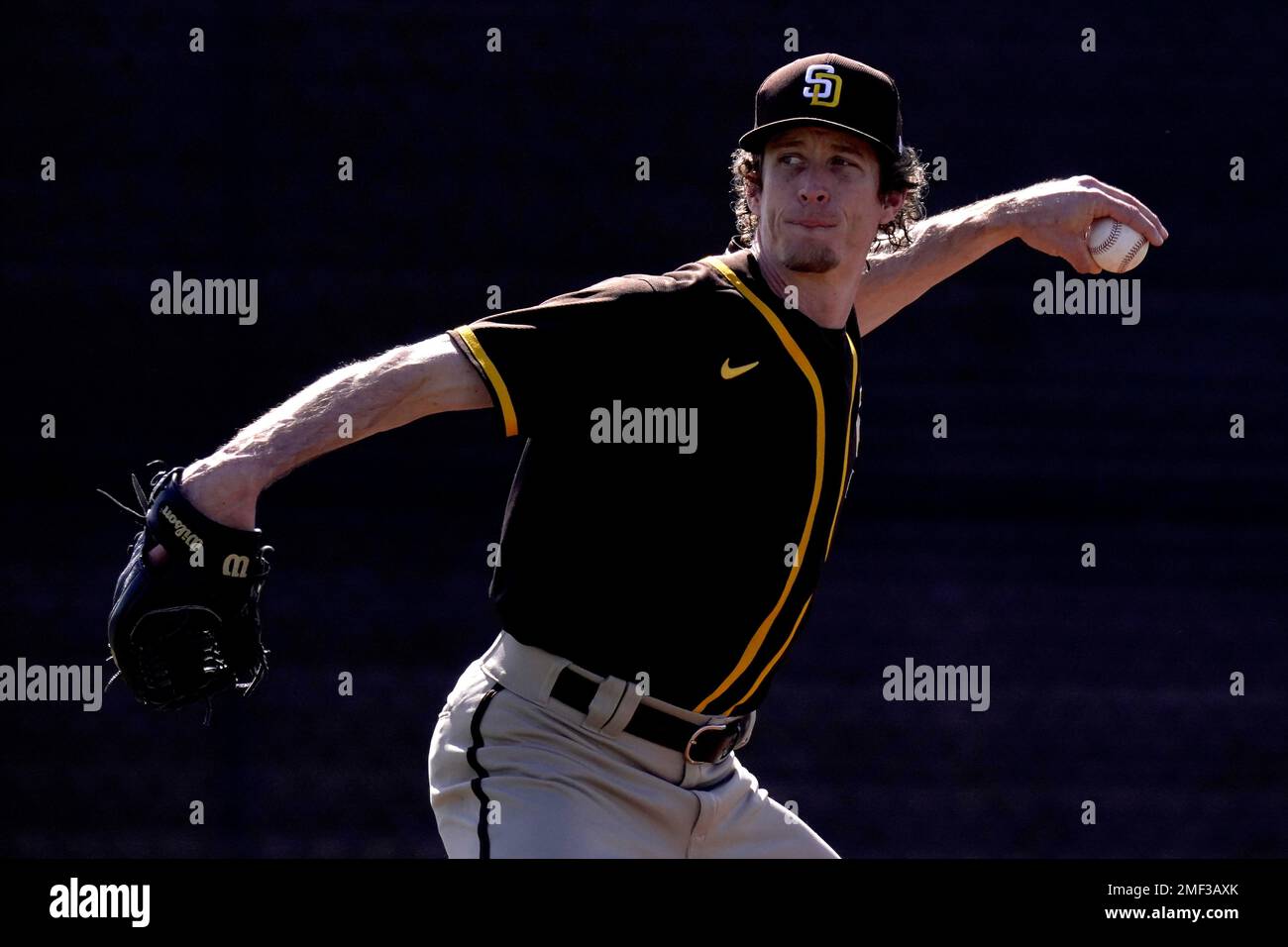 San Diego Padres pitcher Tim Hill throws during spring training ...