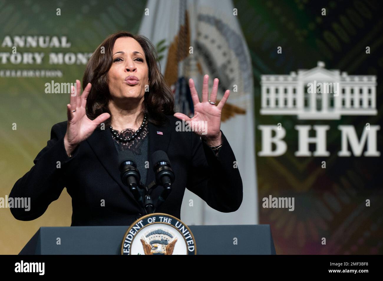 Vice President Kamala Harris speaks at the 40th Annual Black History ...