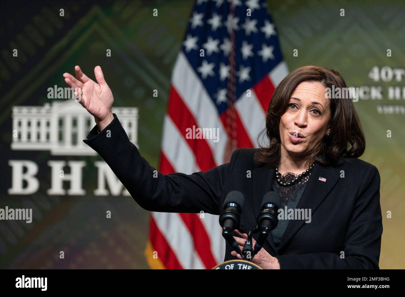 Vice President Kamala Harris speaks at the 40th Annual Black History ...
