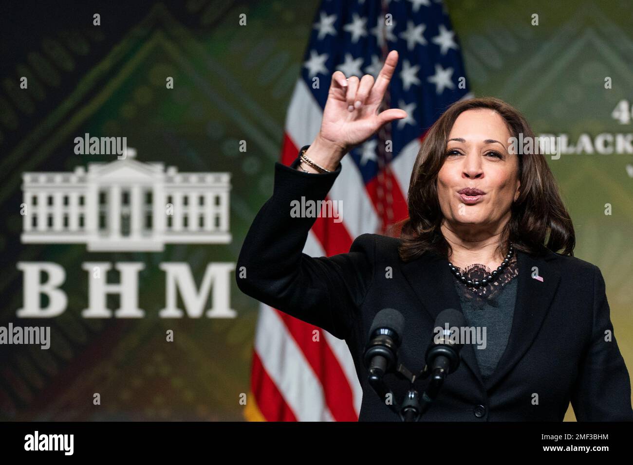 Vice President Kamala Harris speaks at the 40th Annual Black History ...