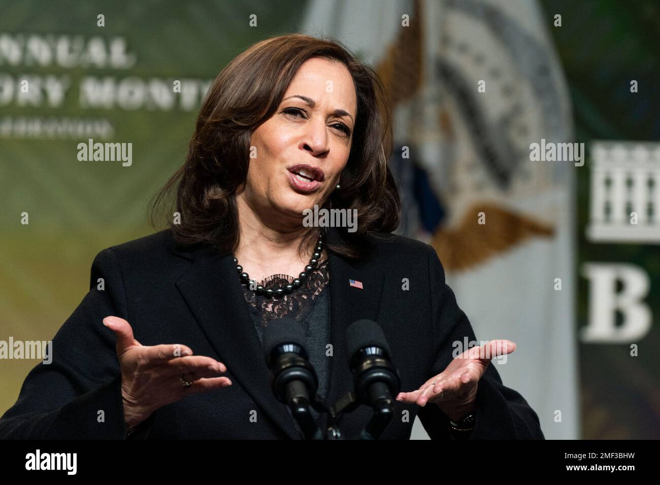 Vice President Kamala Harris speaks at the 40th Annual Black History ...