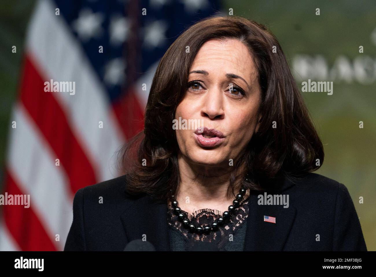 Vice President Kamala Harris speaks at the 40th Annual Black History ...