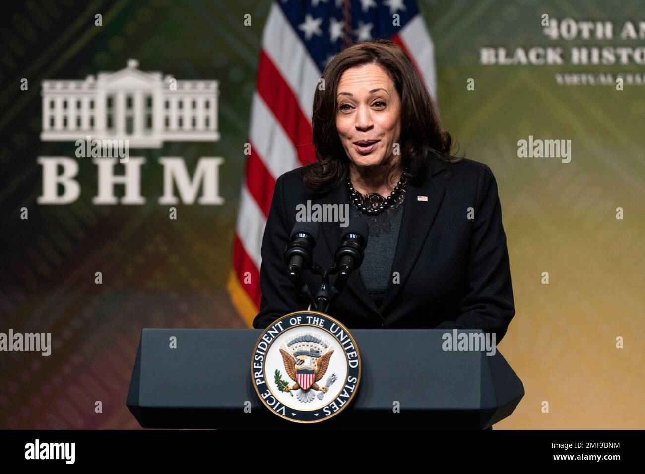 Vice President Kamala Harris speaks at the 40th Annual Black History ...