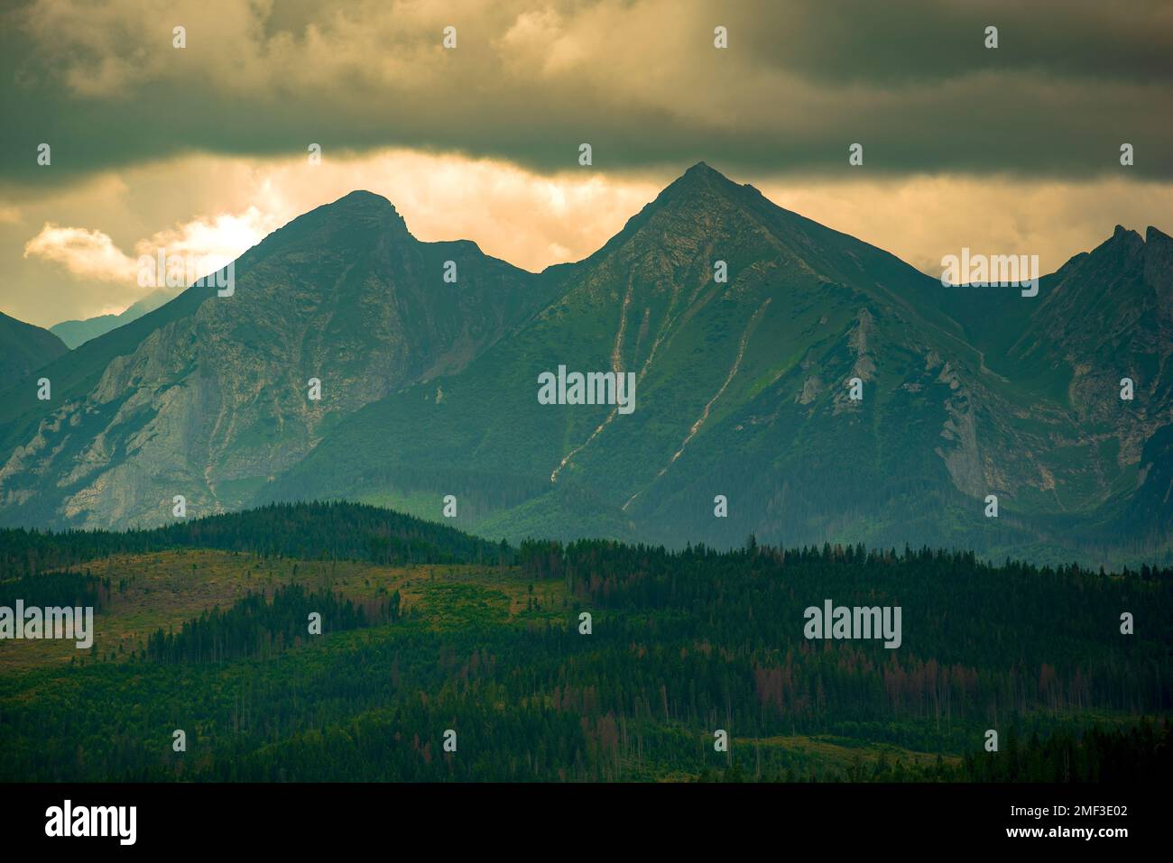 view of the peaks of the Tatra Mountains in Slovakia, clear day Stock ...
