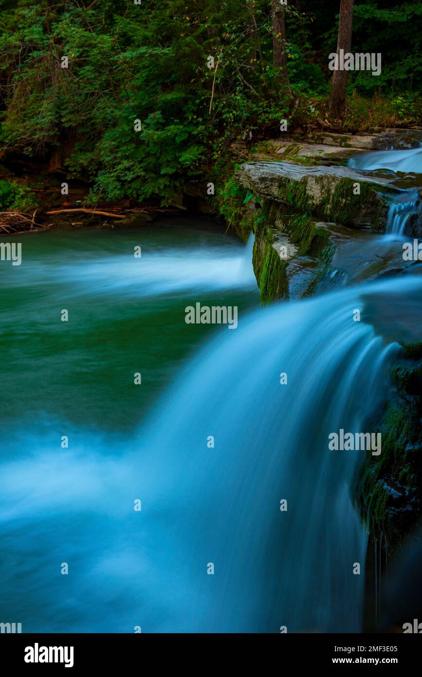 frozen water of a falling waterfall, forest, stones, frame from the ...