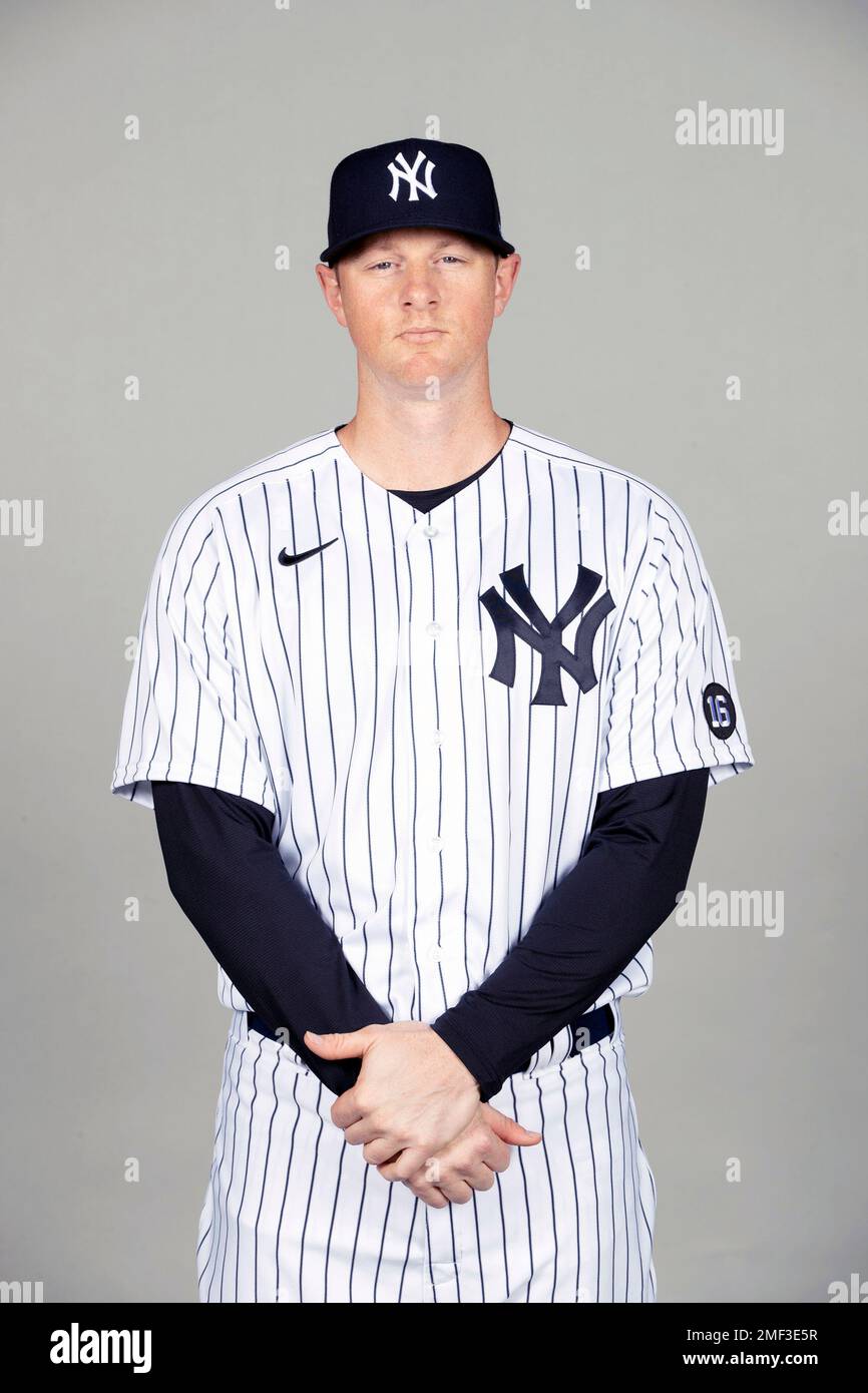 This is a 2021 photo of DJ LeMahieu of the New York Yankees baseball ...